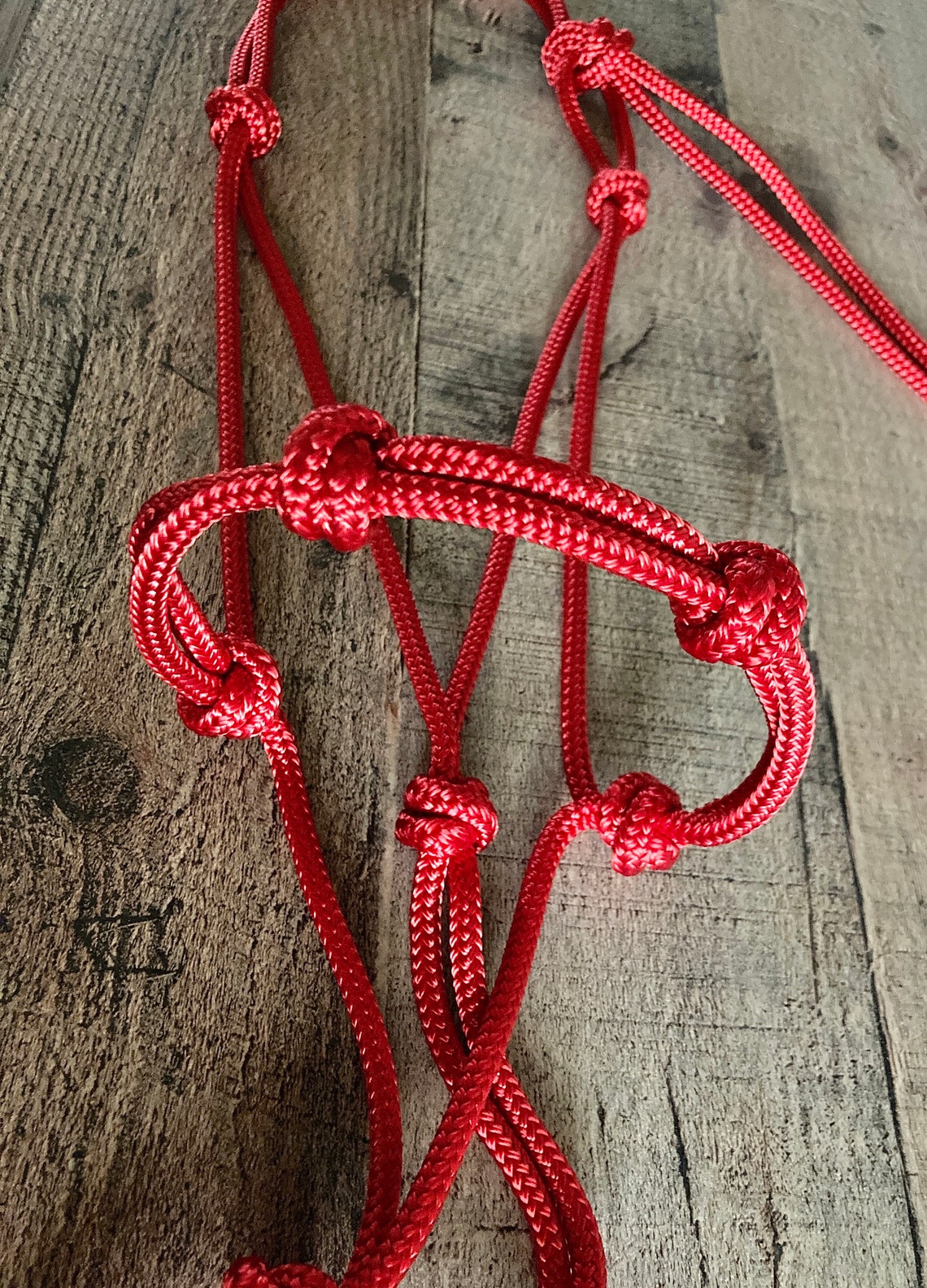 4-knot Rope Halter Only - Assorted Colors - Newborn/foal/mini/yearling ...