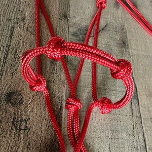 4-knot Rope Halter Only - Assorted Colors - Newborn/foal/mini/yearling/weanling/arabian/average ...