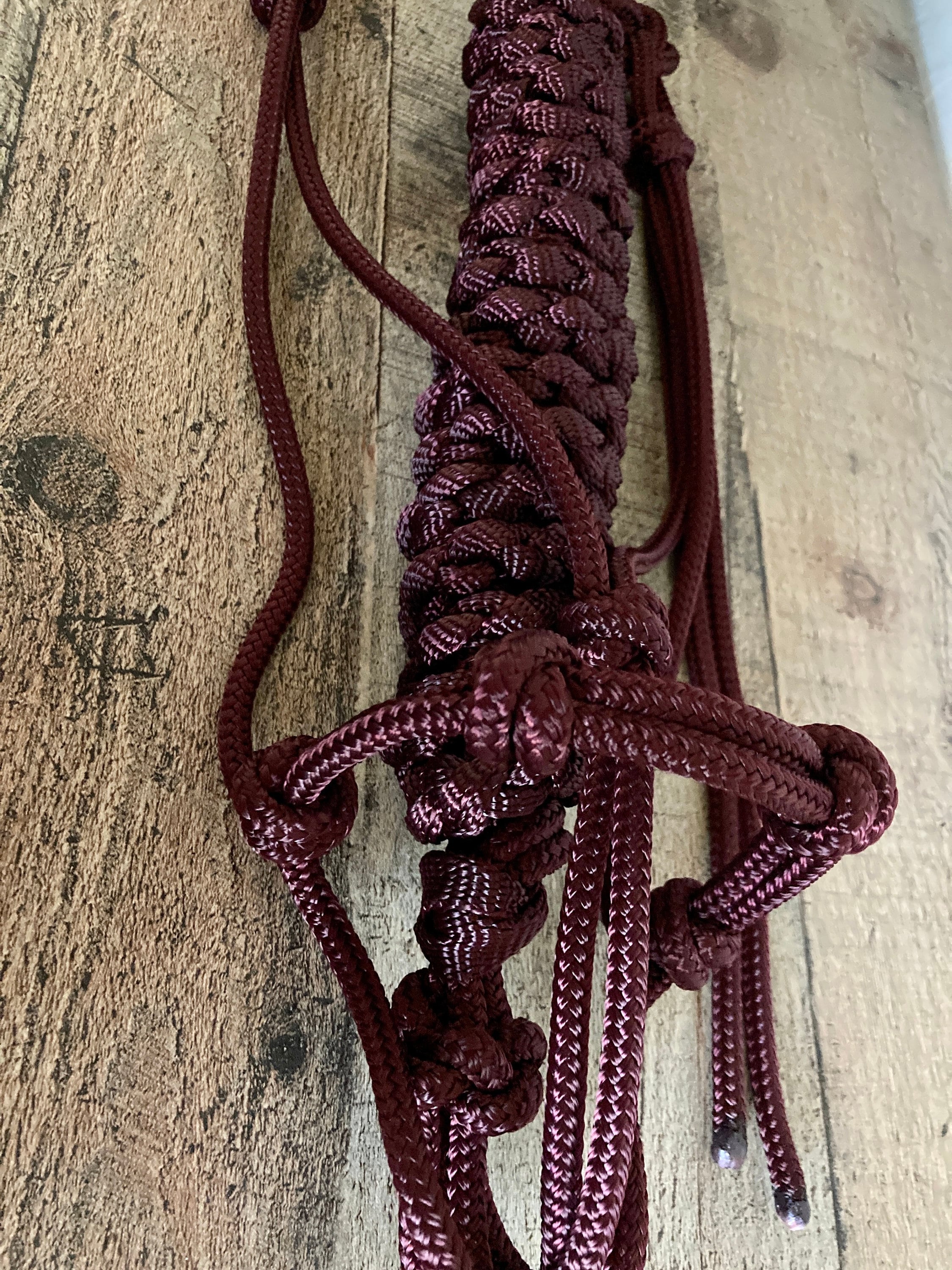 4-knot Rope Halters W/ Lead Assorted Colors Newborn/foal/mini/yearling ...