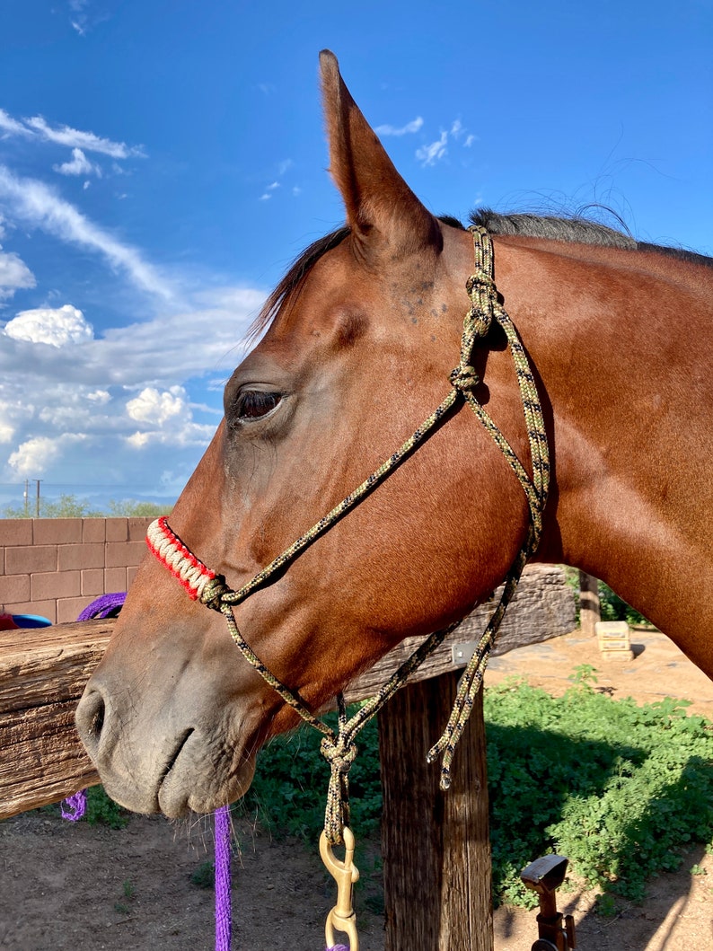 Camo Rope Halter W/ Lead - Red and Tan Noseband - Average Size - Etsy
