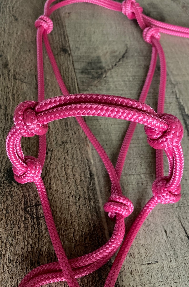 4-knot Rope Halter Only Small to Average Size Heather Pink Color - Etsy