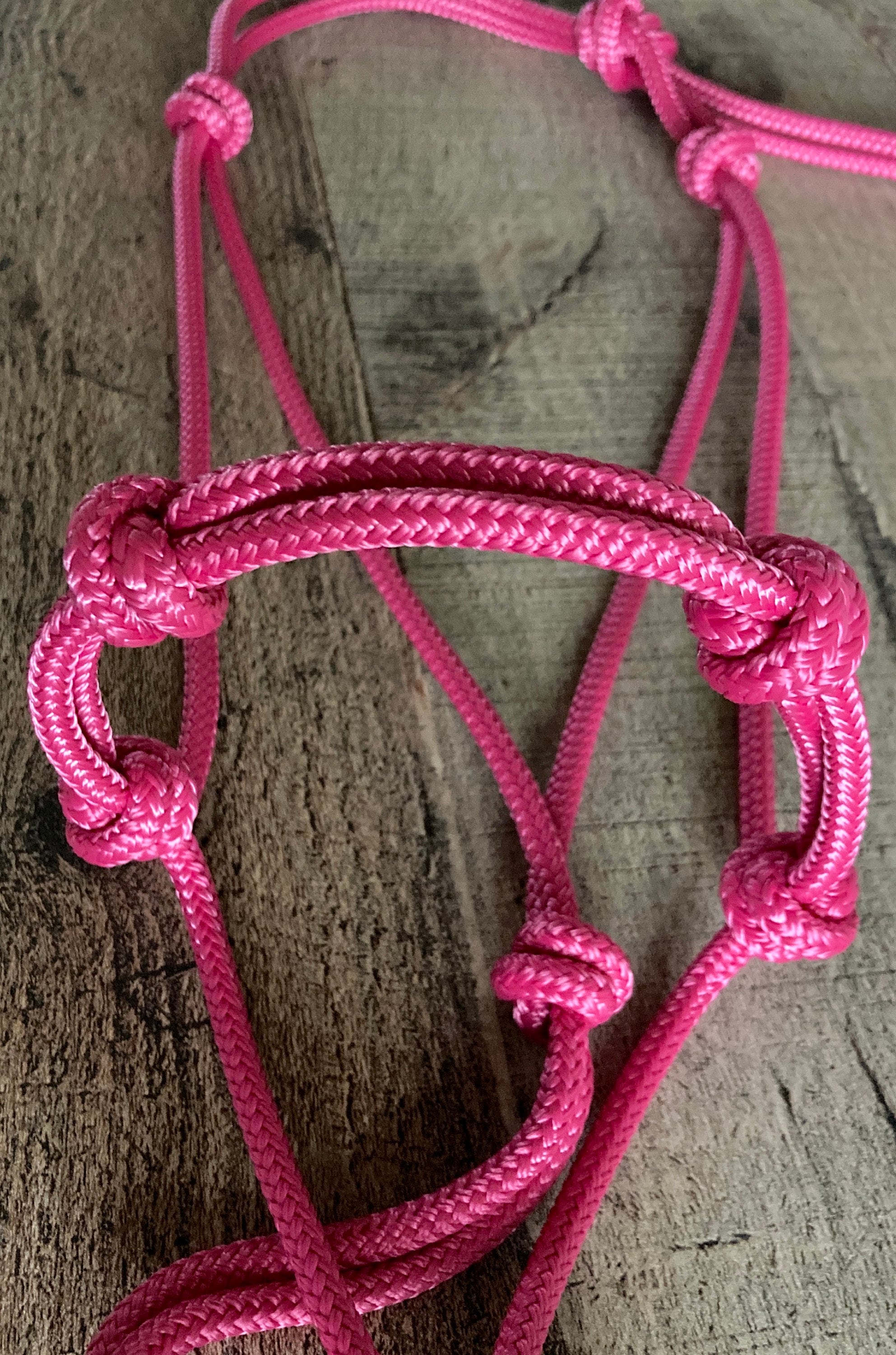 4-knot Rope Halter Only Assorted Colors Newborn/foal/mini/yearling ...