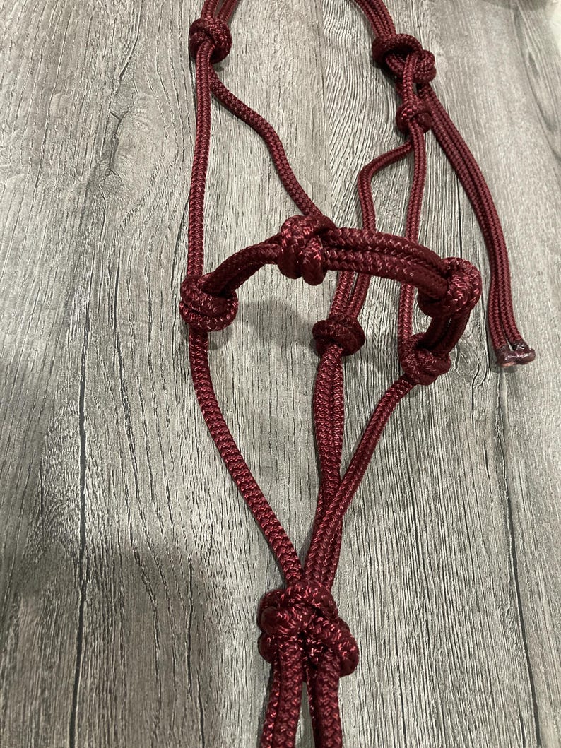 4-knot Rope Halter - Weanling Size- With or Without Lead Line - Burgundy Color - Etsy