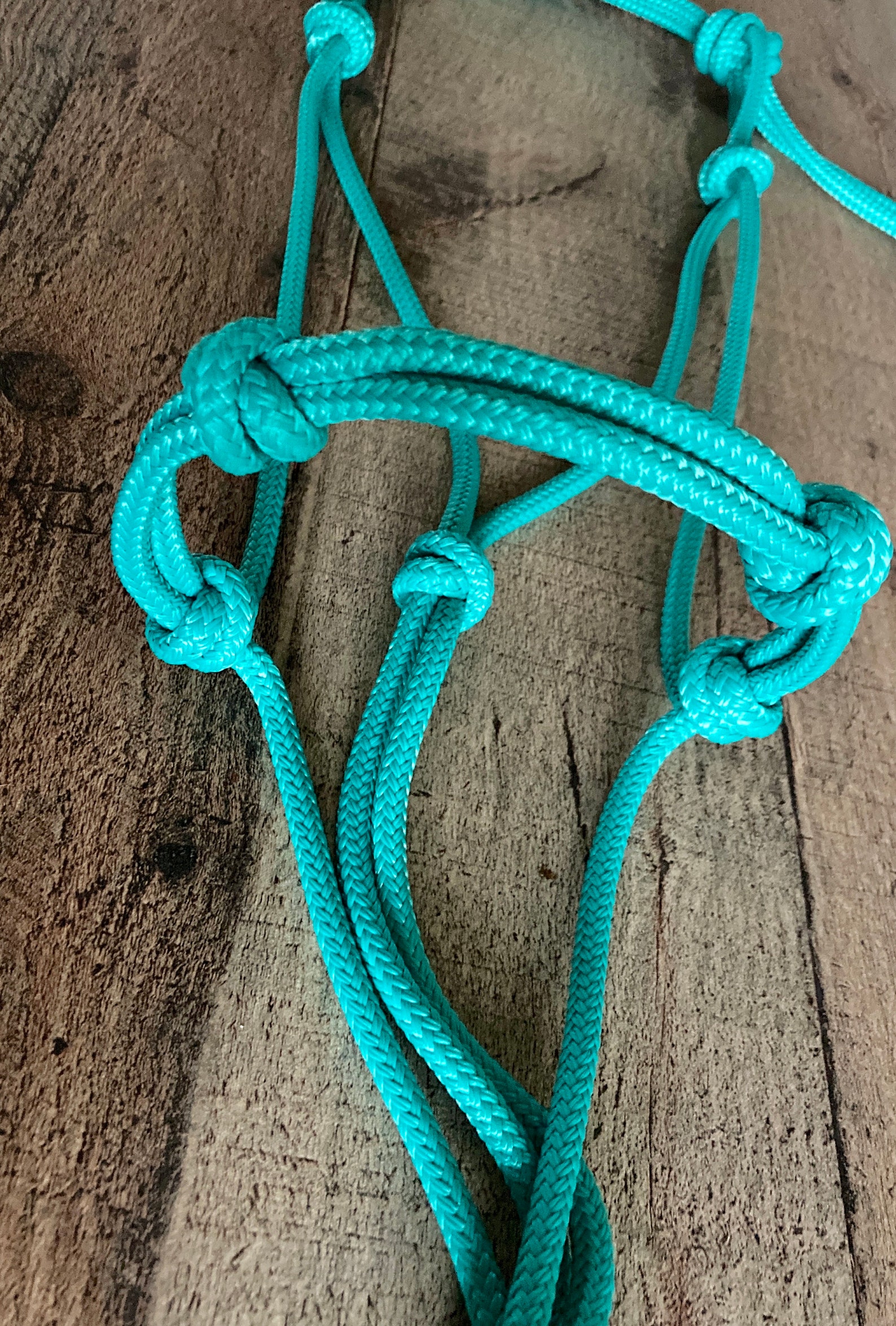 4-knot Rope Halter Only - Assorted Colors - Newborn/foal/mini/yearling ...
