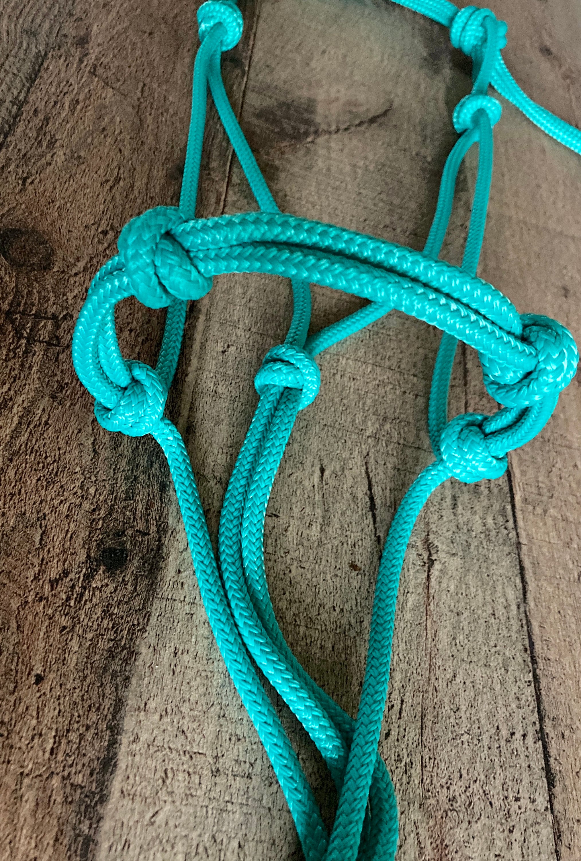 4-knot Rope Halter Only Assorted Colors Newborn/foal/mini/yearling/weanling/arabian/average ...