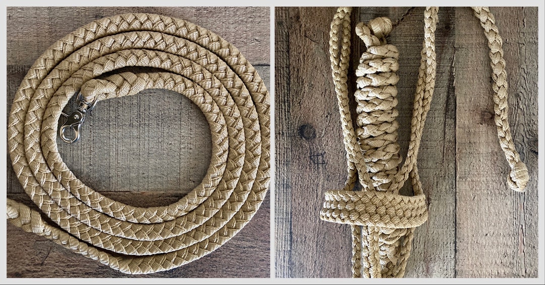 Mule Tape Halter and 8FT Roping Rein SET - Assorted Colors - Etsy Canada