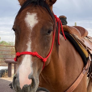 4-knot Rope Halter Only - Assorted Colors - Newborn/foal/mini/yearling ...
