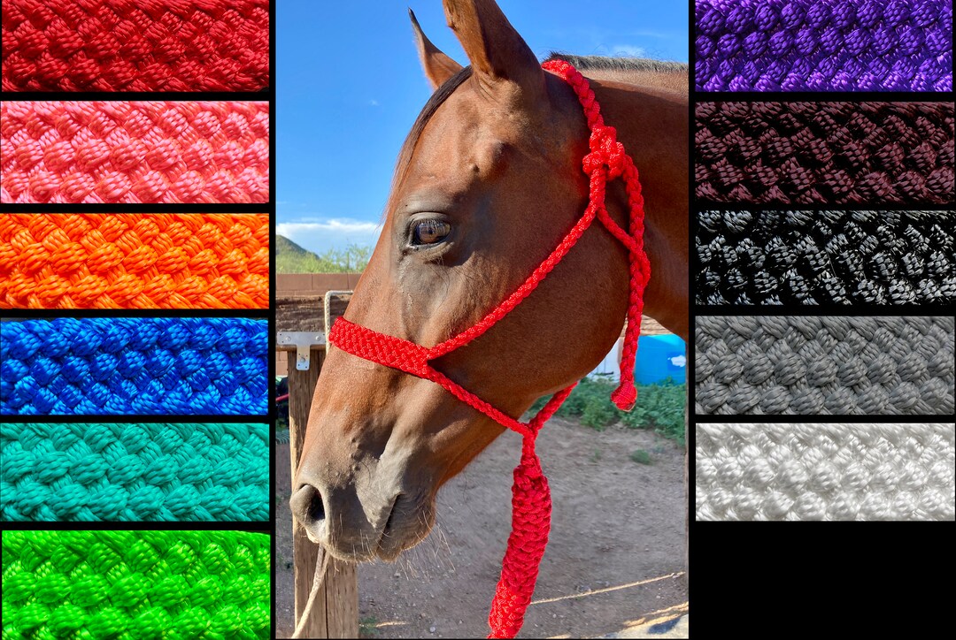 Mule Tape Halters W/ Lead - Assorted Colors - Min/foal/weanling/small ...