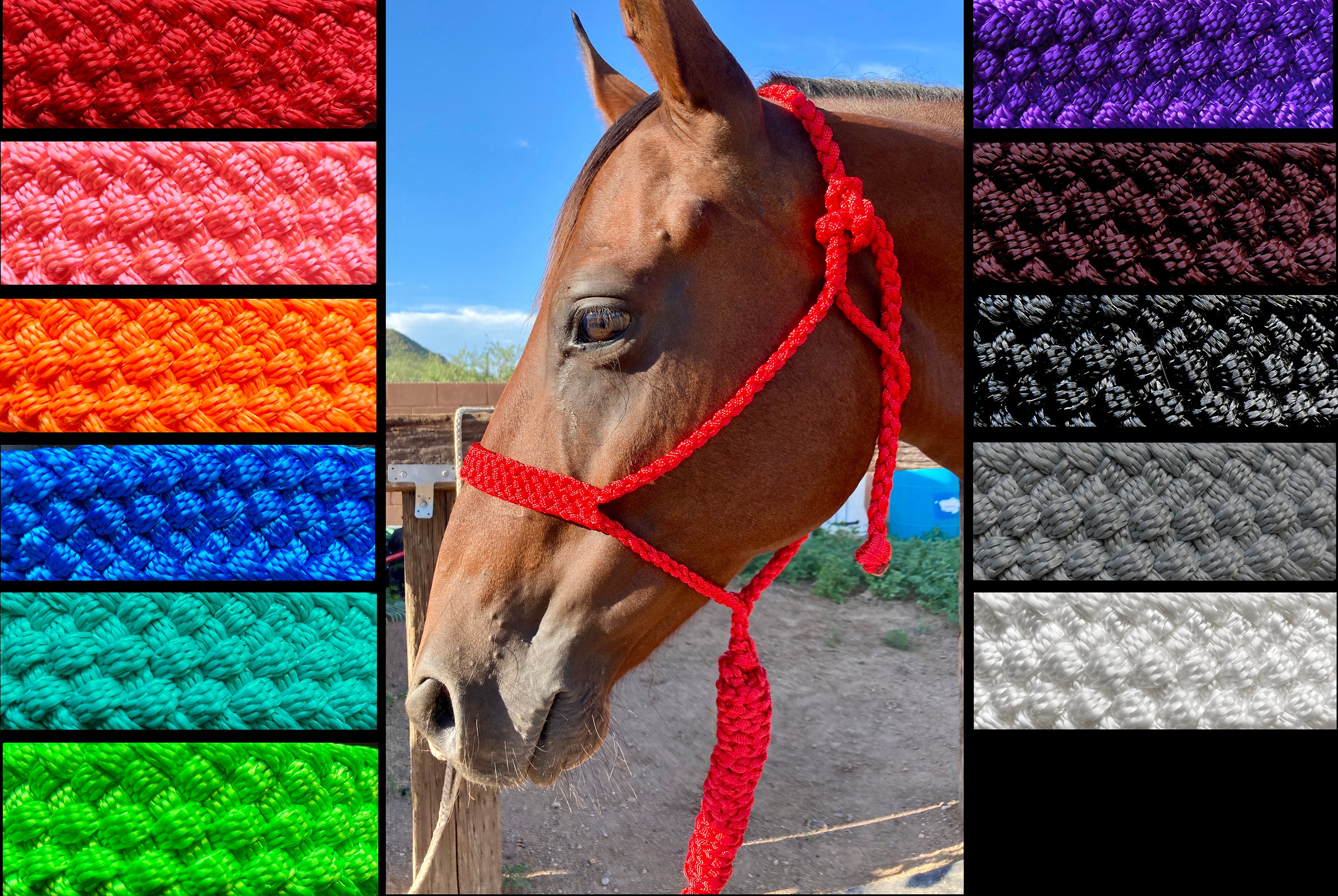 Mule Tape Halters W/ Lead Assorted Colors Newborn/foal/mini/yearling ...