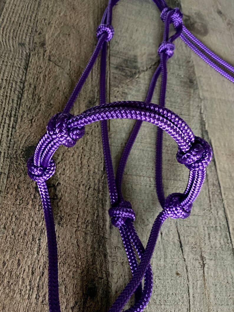4-knot Rope Halter Only Assorted Colors Newborn/foal/mini/yearling/weanling/arabian/average ...