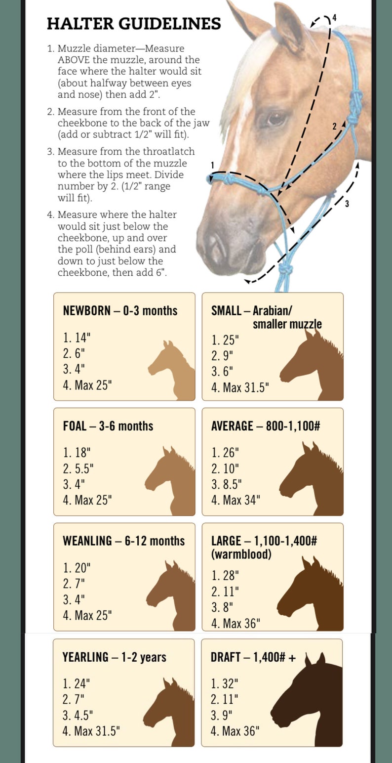 4-knot Rope Halter Only - Assorted Colors - Newborn/foal/mini/yearling ...