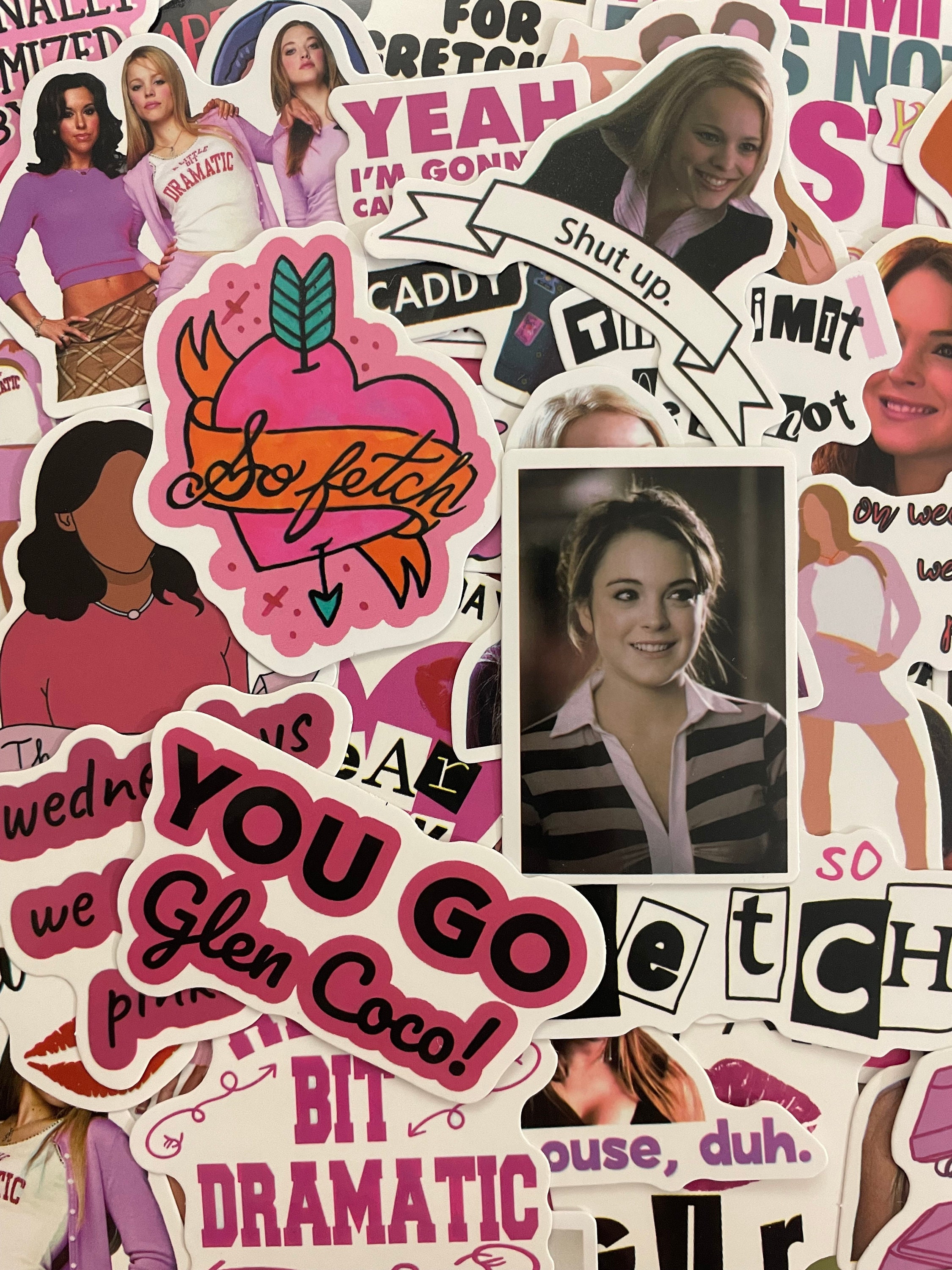Mean Girls Inspired Stickers Set of 10 Random Movie - Etsy