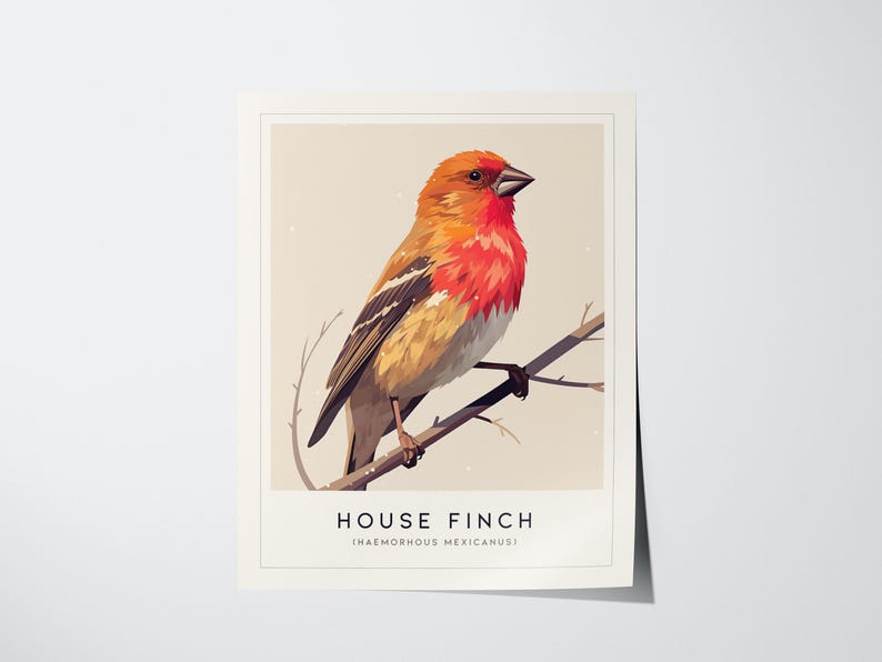 House Finch Poster: Vibrant Bird Illustration, Farmhouse Decor, Framed ...