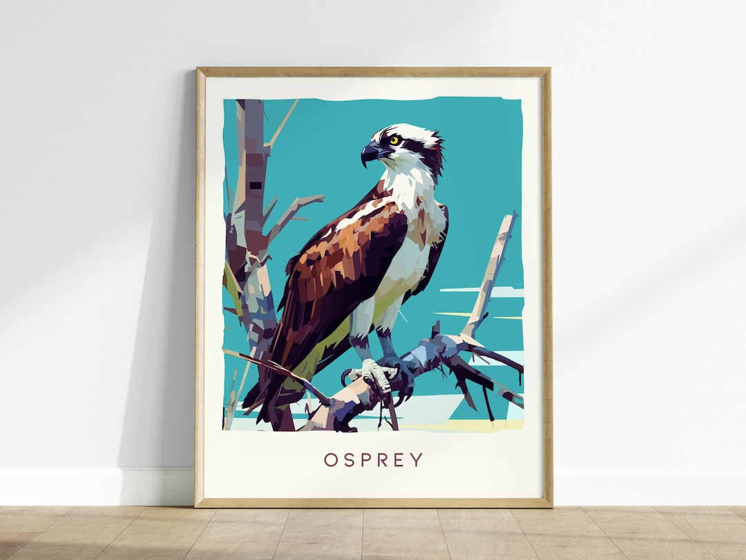 Osprey Print: Florida Bird Wildlife Poster, Tropical Beach Decor ...