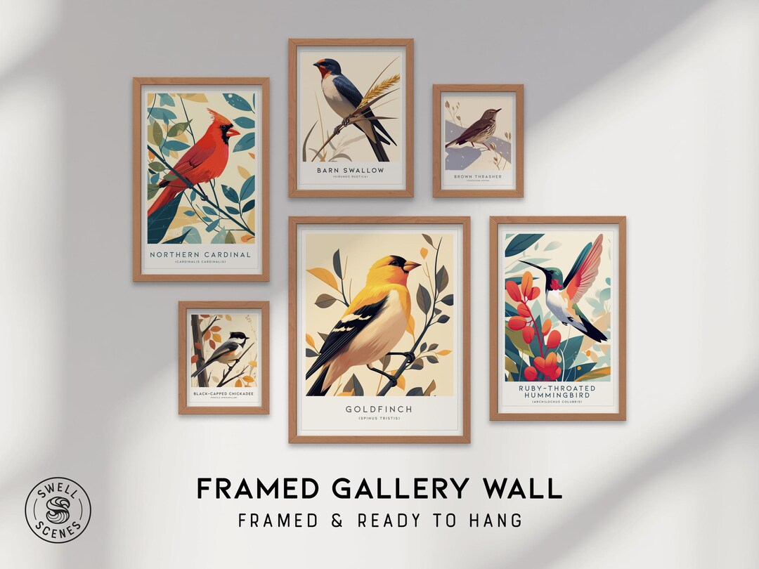 Bird Posters Set of 6 Wall Art: Audubon Style Prints Bundle, Framed ...