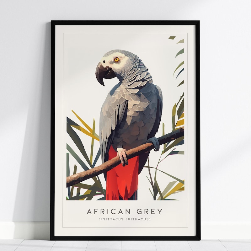 Parrot Poster - Etsy