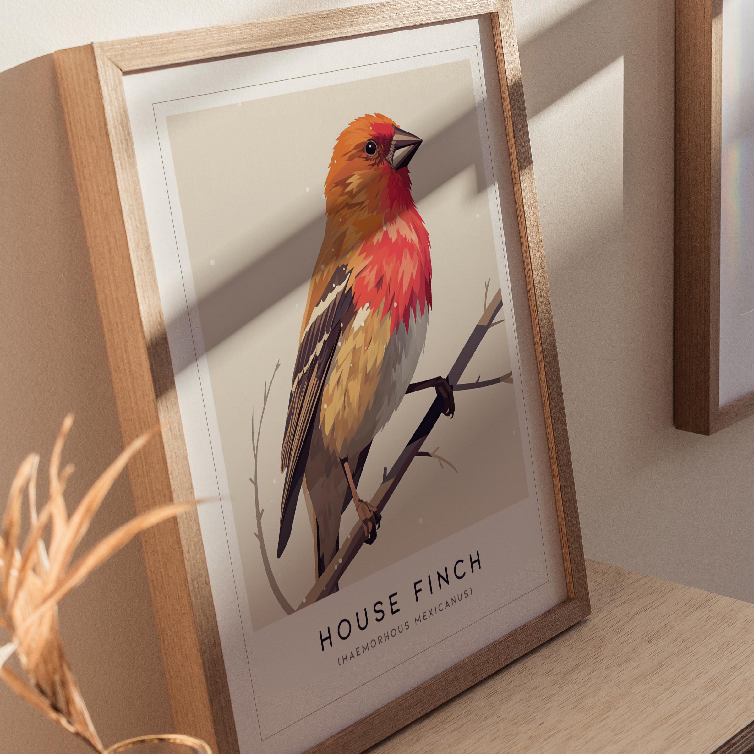 House Finch Poster: Vibrant Bird Illustration, Farmhouse Decor, Framed ...