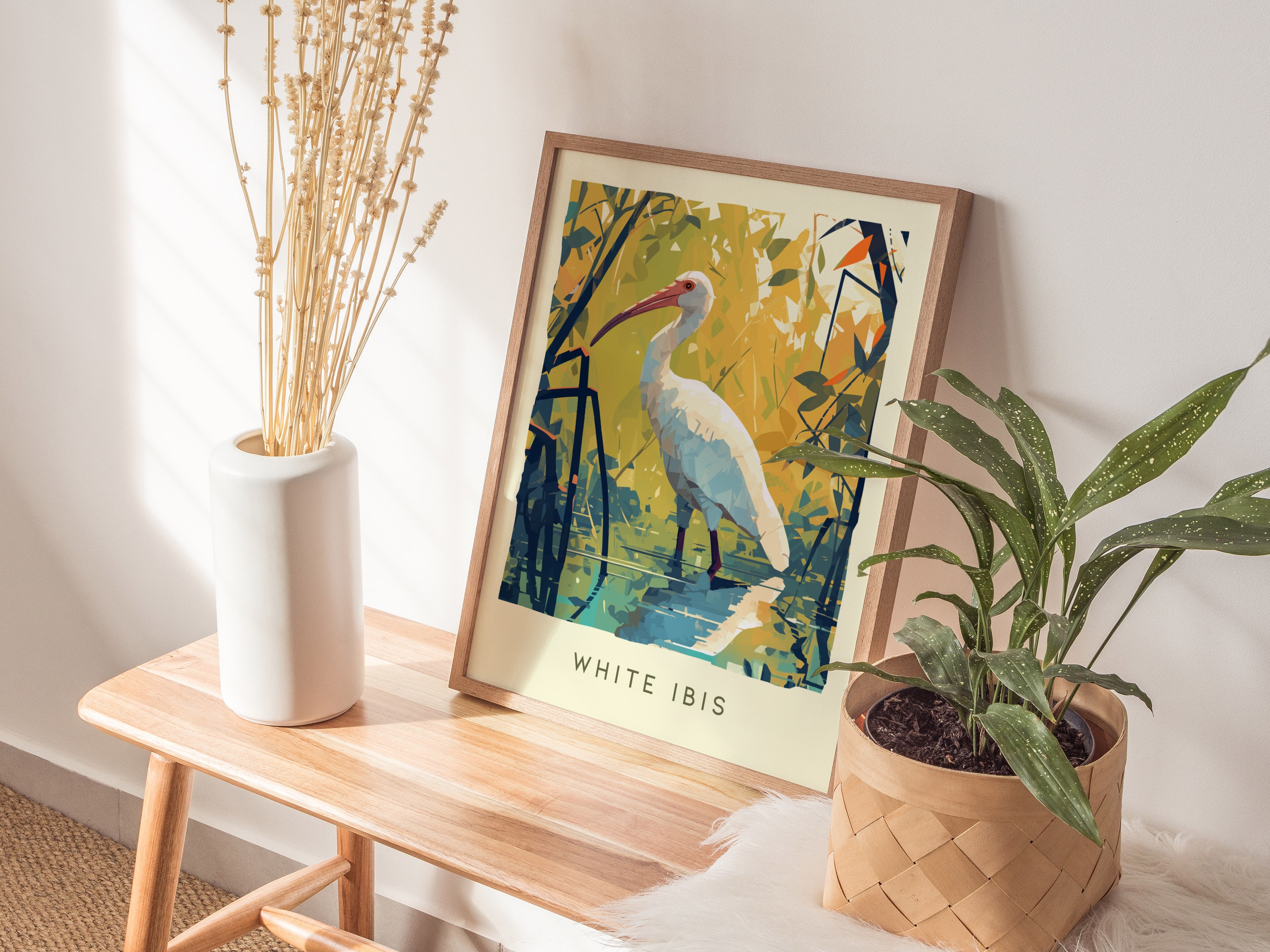 White Ibis, Florida Birds Wildlife Framed Wall Art Mangroves Tropical ...