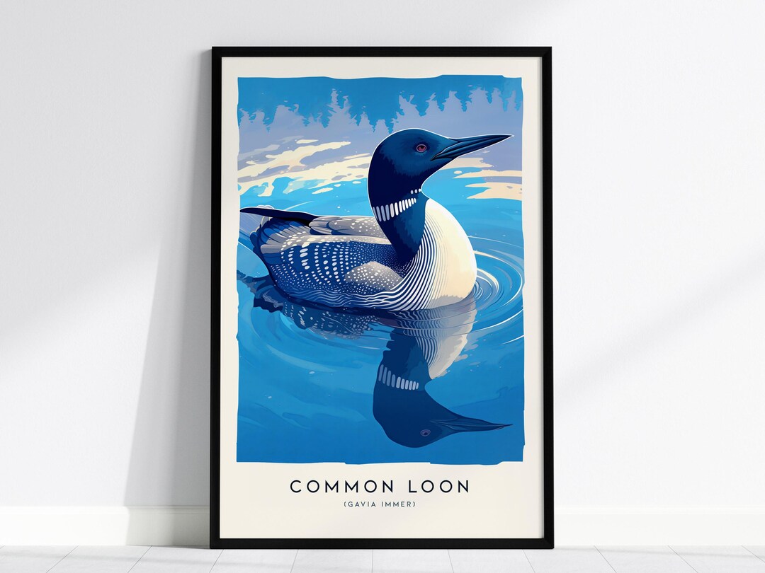 Common Loon Poster - Minnesota State Bird, Elegant Waterbird Print ...