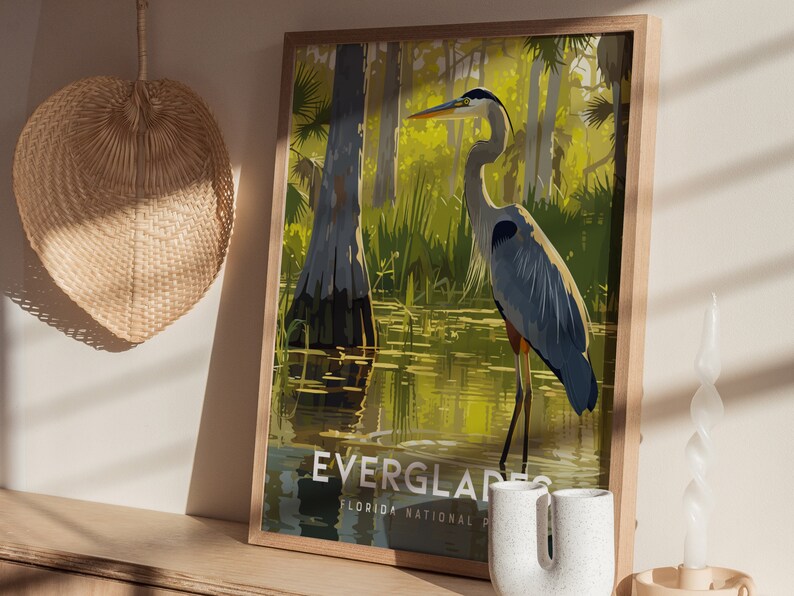 Everglades National Park, Florida Framed Wall Art Glades Great Blue ...