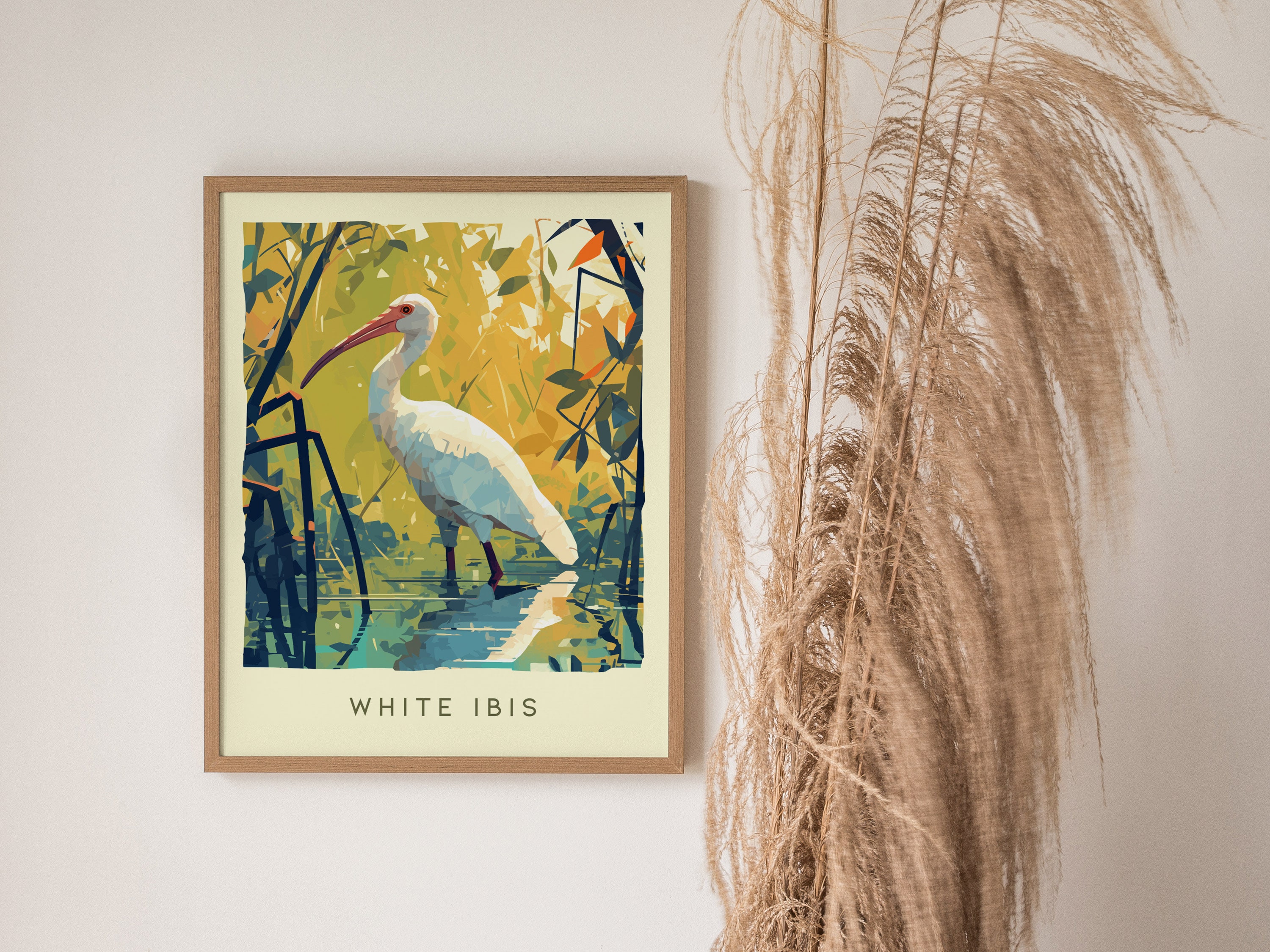 White Ibis, Florida Birds Wildlife Framed Wall Art Mangroves Tropical ...
