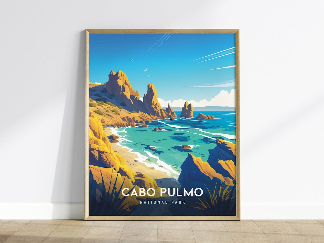 Cabo Pulmo National Park Poster Baja California Wall Art Framedunframed Marine Print Ocean