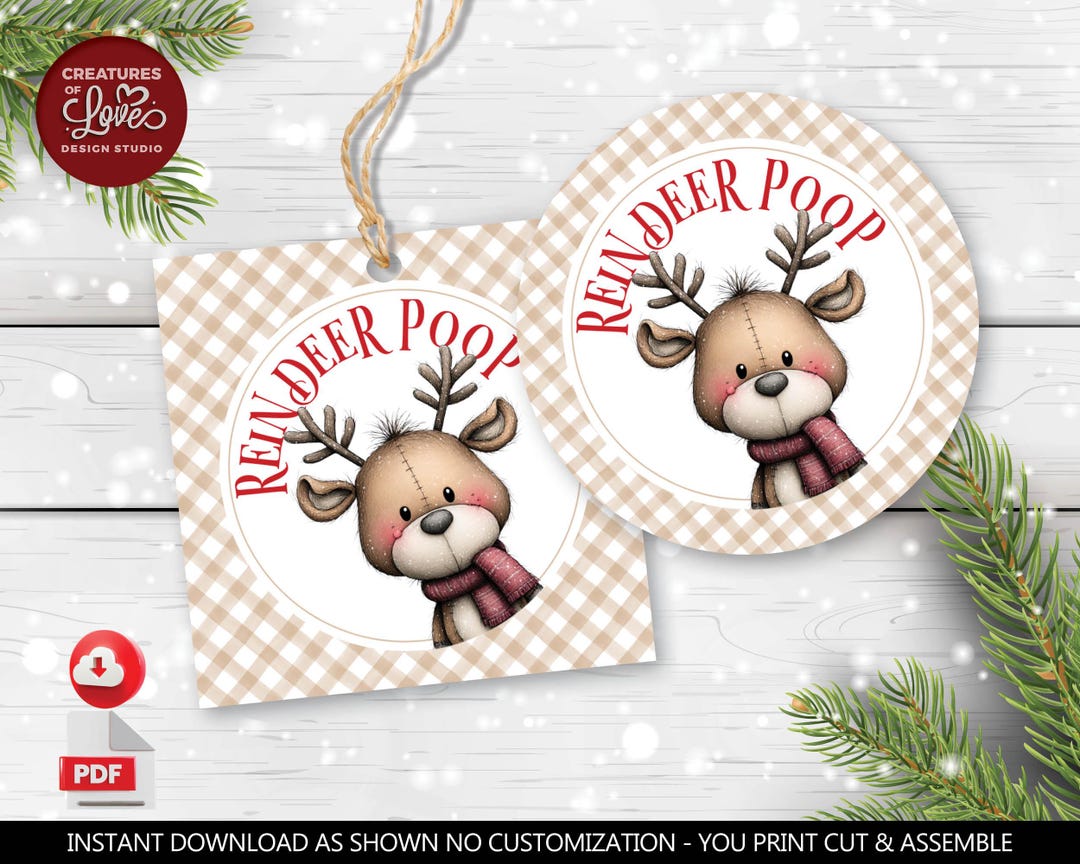 Reindeer Poop Gift Tag Christmas Treat Tag Christmas Fun Favor Tags ...