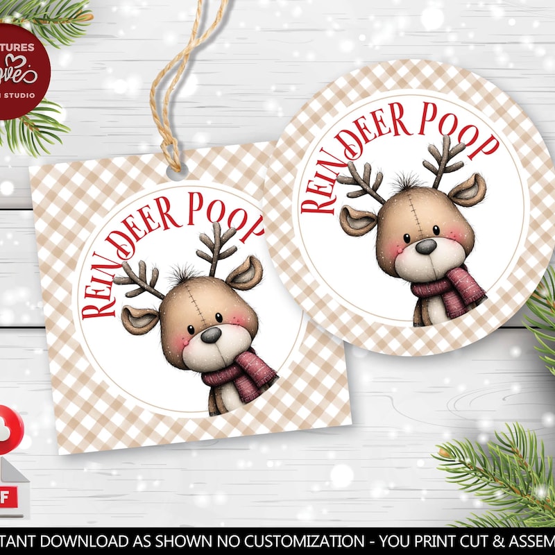 Santa Poop Labels - Etsy