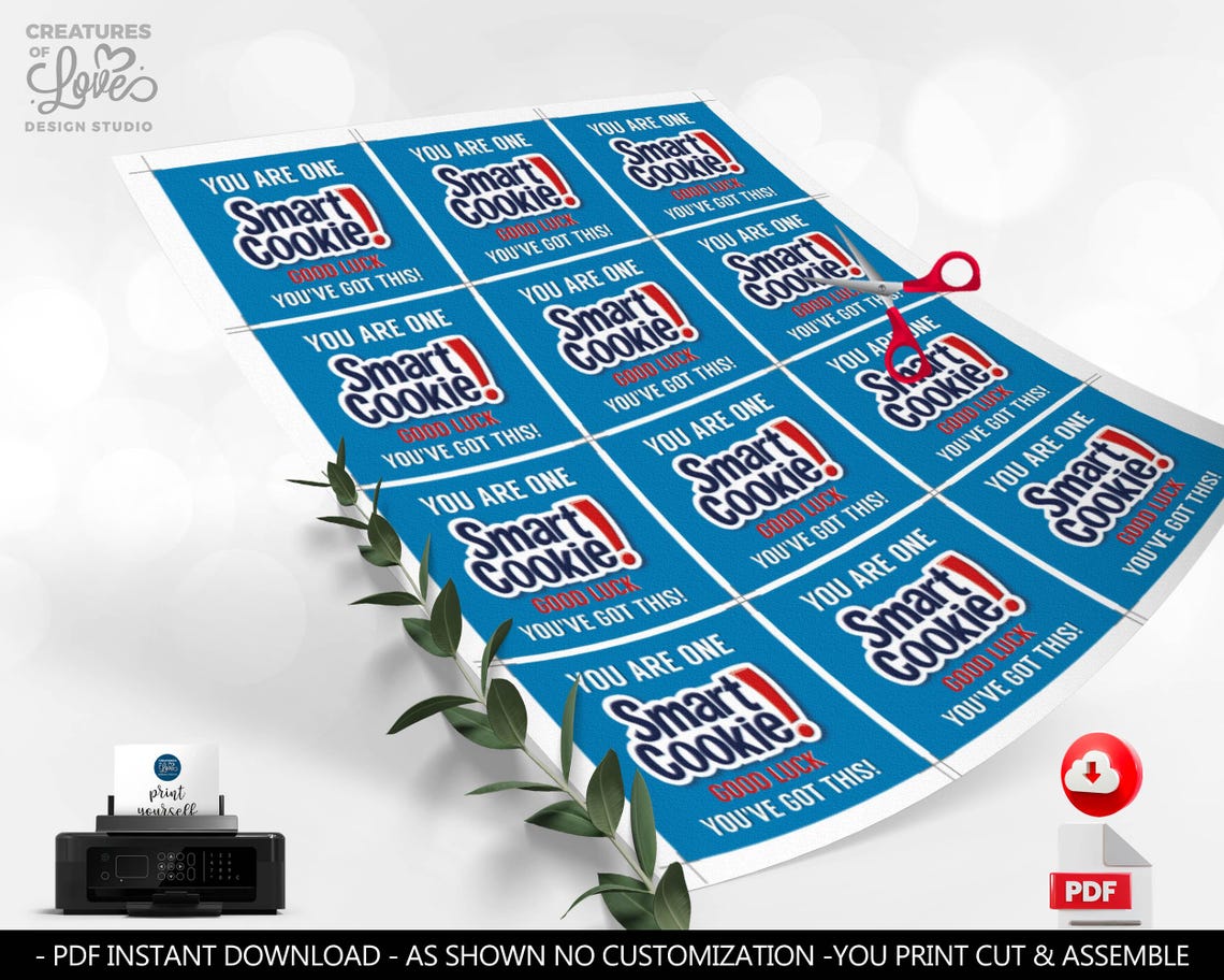 Printable Testing Day Snack Tag Classroom Treat Tag One Smart Cookie ...