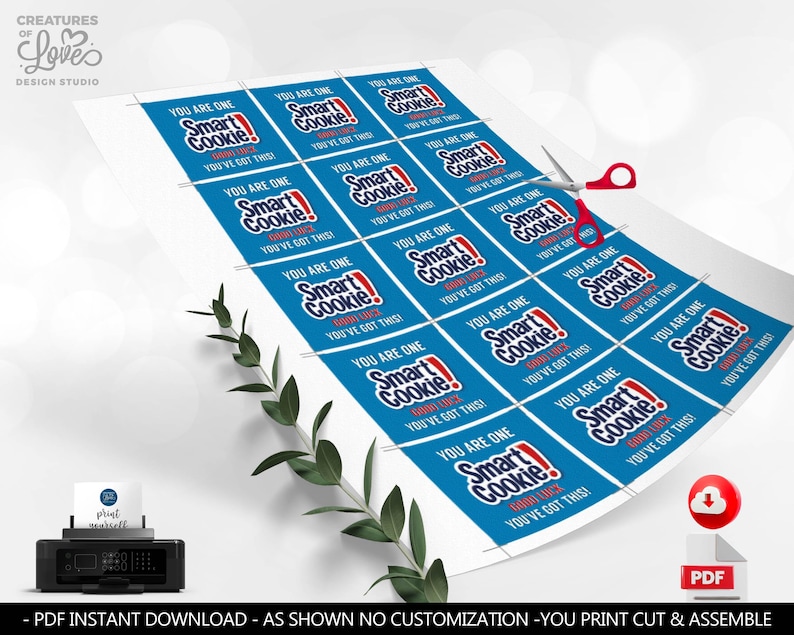 Printable Testing Day Snack Tag Classroom Treat Tag One Smart Cookie ...