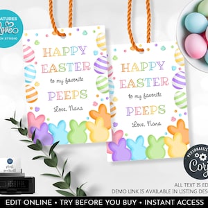 Editable Easter Favor Tags Spring Basket Tag Easter Party Labels ...