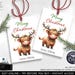 Editable Mooey Christmas Tag Highland Cow Christmas Gift Tag Holiday ...