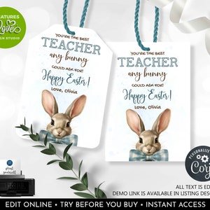 Editable Teacher Gift Tag You're the Best Teacher Any Bunny Could Ask ...
