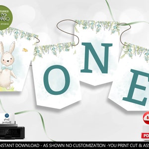 Some Bunny is One Birthday Banner Bunny High Chair Banner ONE Banner ...