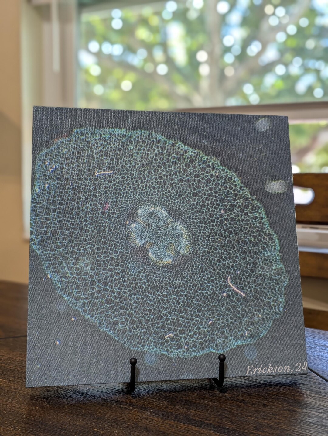 Stellar Microscopic Root Slice Canvas Wall Art - Etsy