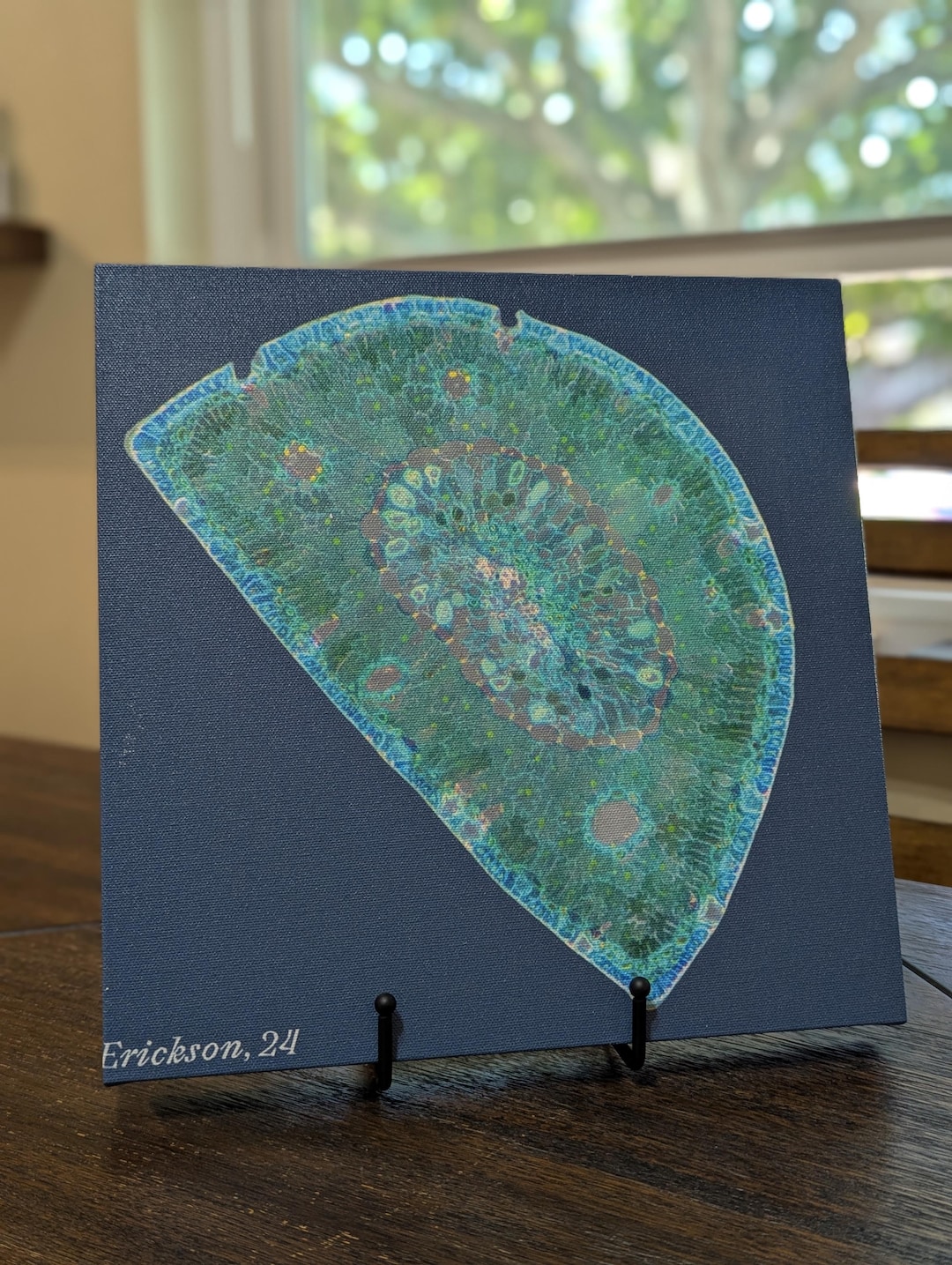Seed Microscope Canvas Print, Darkfield Botanical Wall Art, 12x12 Plant ...