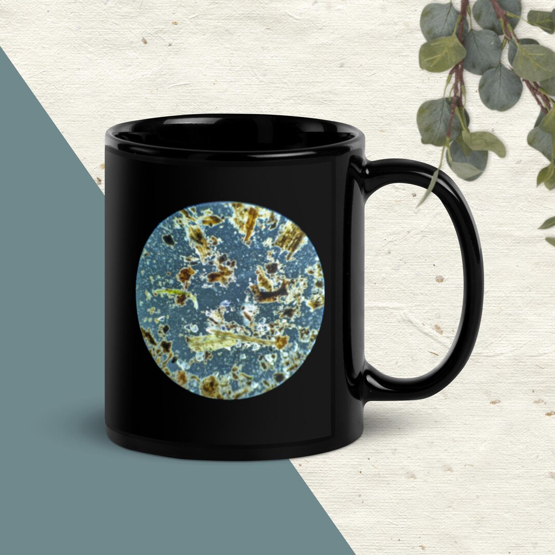 Rainwater Microscopy Mug, 11oz Science Coffee Cup, Pond Water Microbe ...