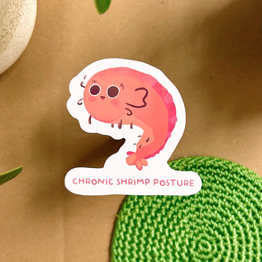 Chronic Shrimp Posture - Waterproof Vinyl Sticker - Etsy