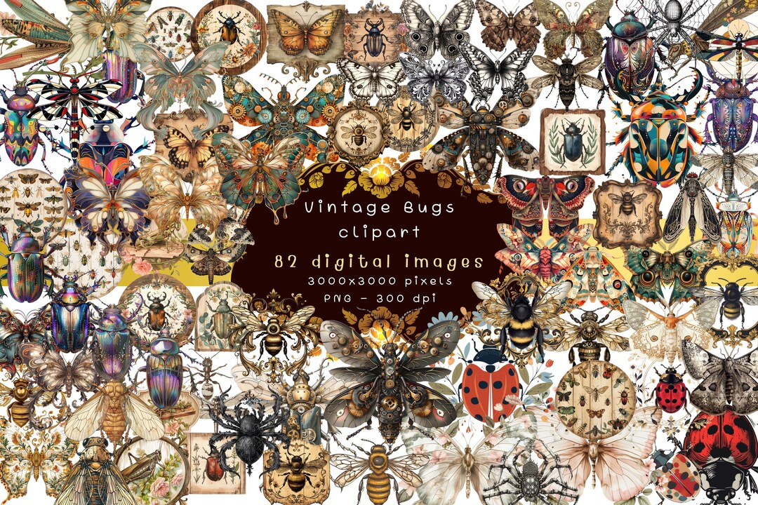 Vintage Bugs Clipart, Antique Insect Clip Art , Instant Digital ...
