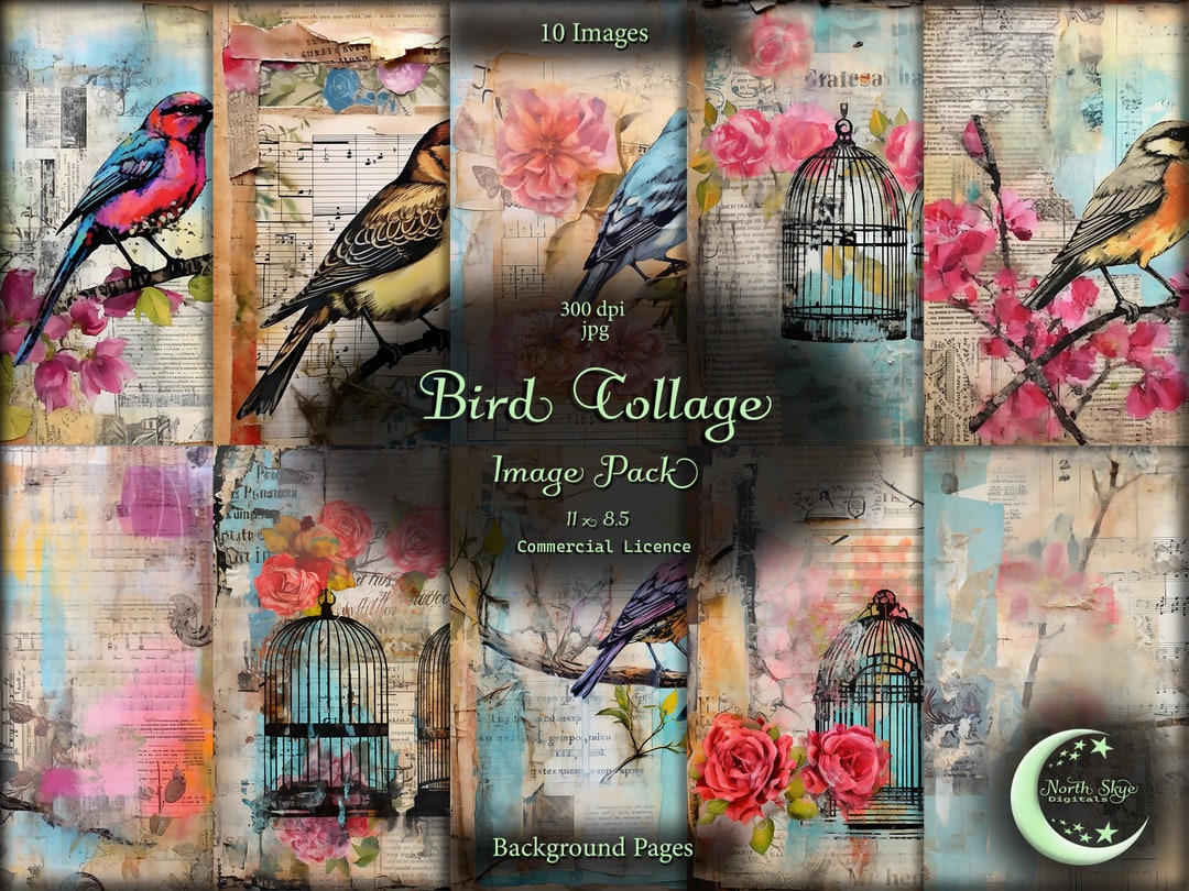 Bird Collage Digital Paper, Collage Paper, Distressed Paper, Instant ...