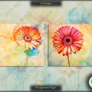 Watercolor Gerbera 1, Digital Paper, Background Images - Etsy