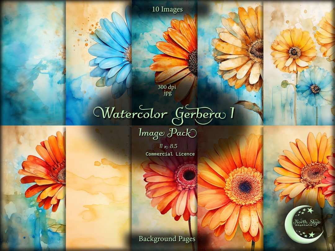 Watercolor Gerbera 1, Digital Paper, Background Images - Etsy