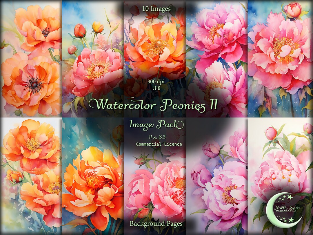 Watercolor Peonies 2, Digital Paper, Background Images - Etsy