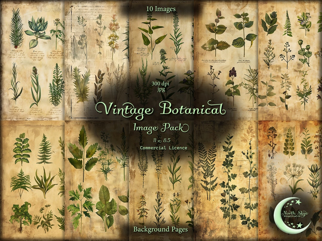 Vintage Botanical, Digital Junk Journal, Image Pack, Digital Paper ...