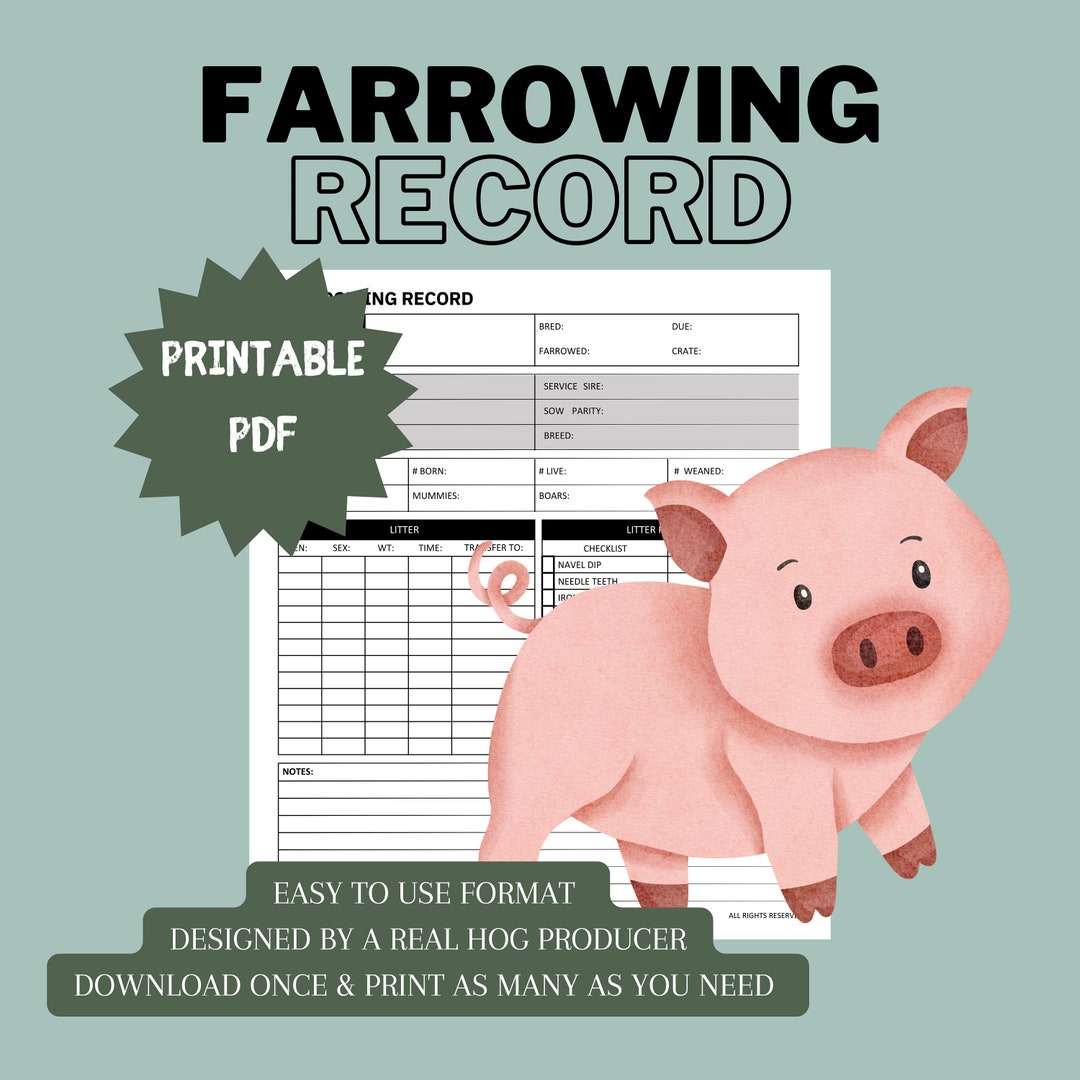 Farrowing Record Sheet - Etsy