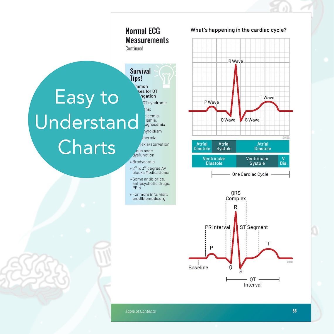 Cardiac Study Guide I Bedside Reference for Critical Care Providers I ...