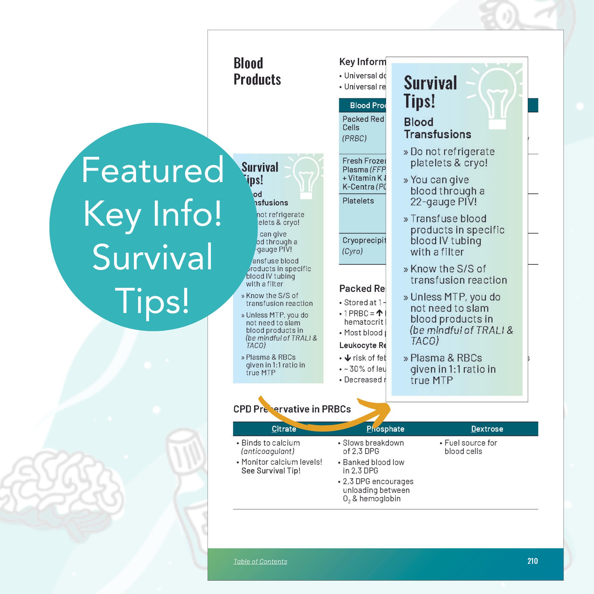 Blood Products & IV Fluids Study Guide I Bedside Reference for Critical ...