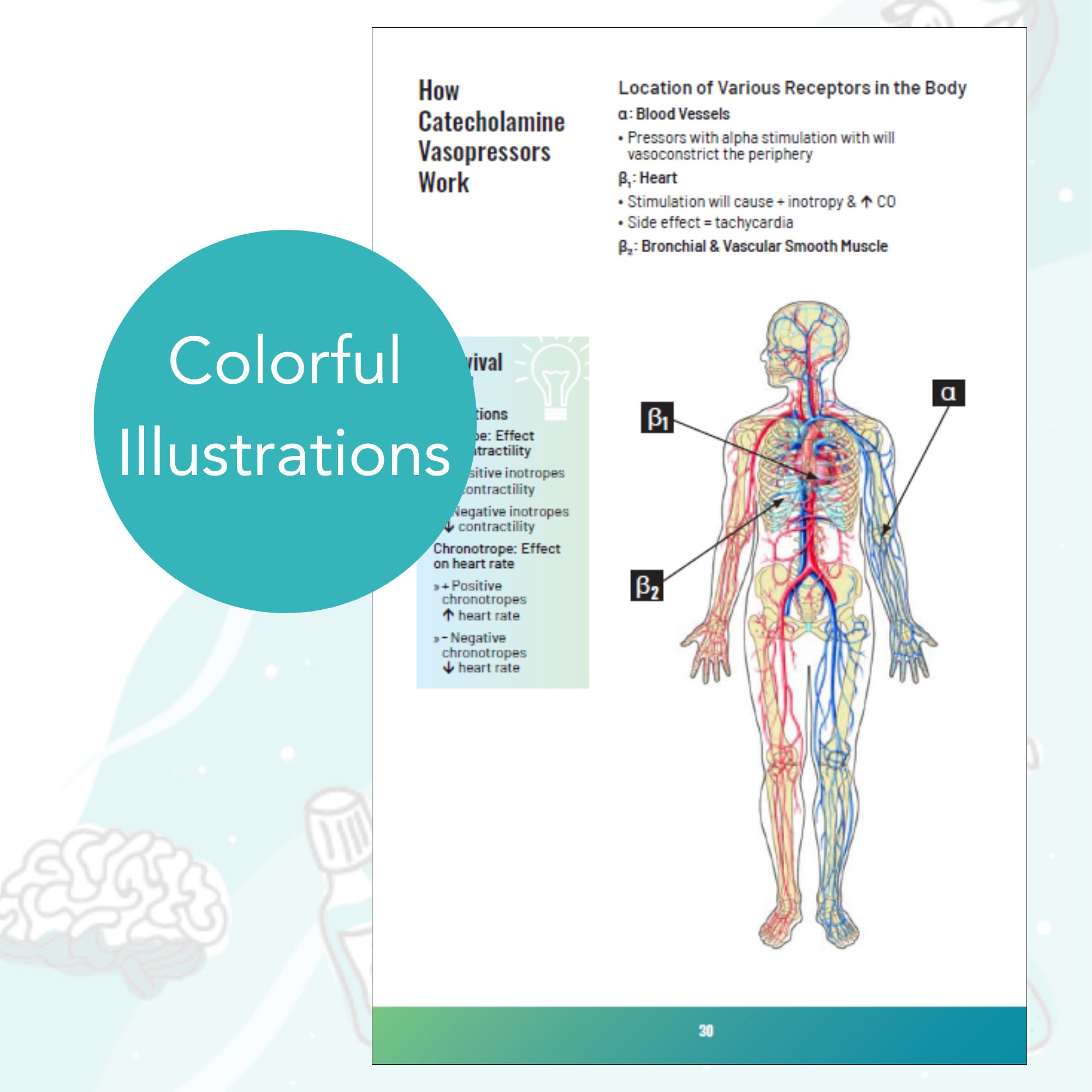 Critical Care Survival Guide | Bedside Reference Guide I Trusted ...