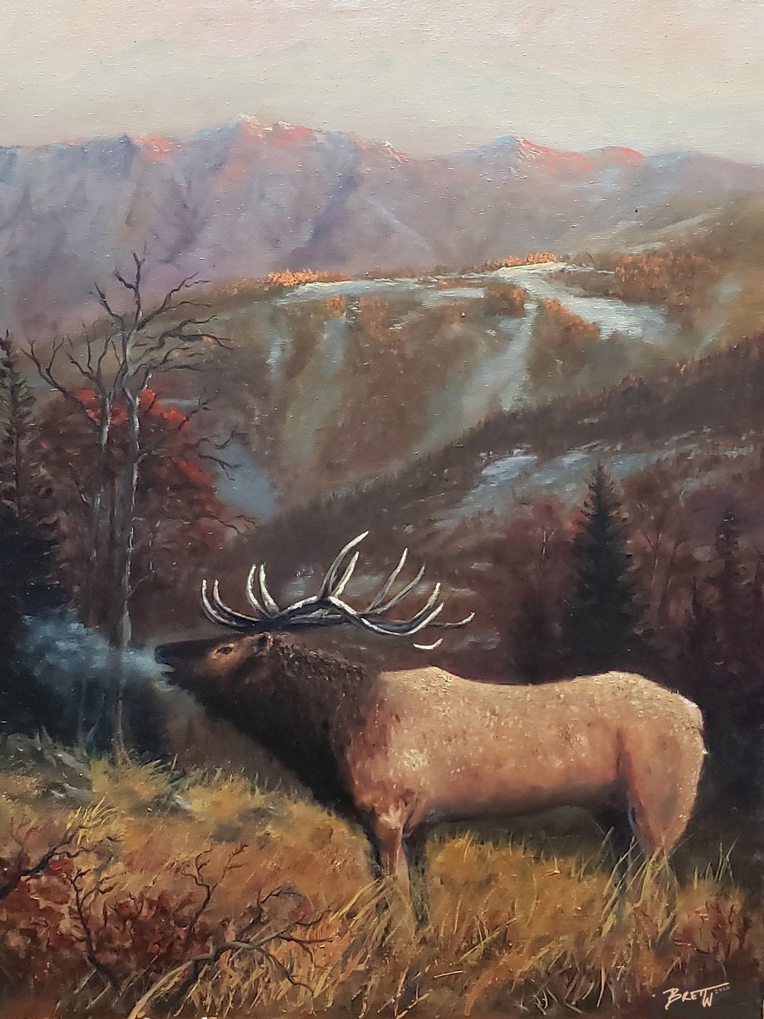 High Country Elk - 12x16 Fine Art Print - Etsy