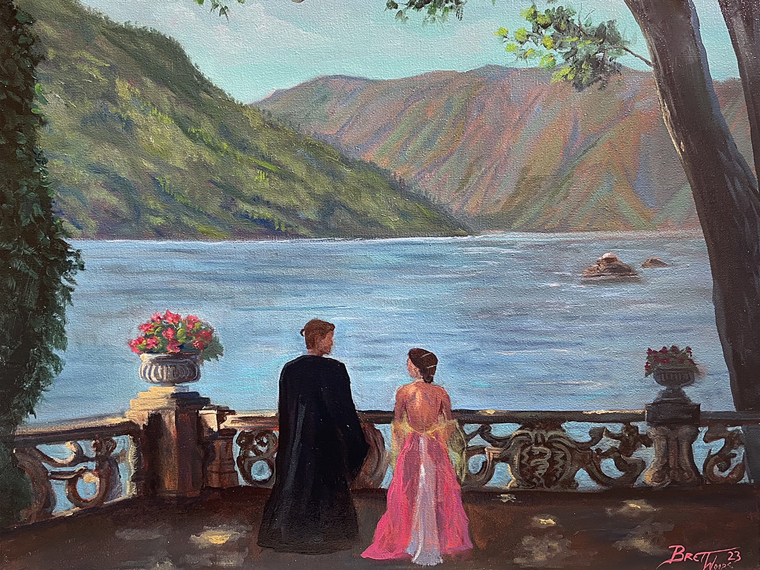 Anakin & Padme on Naboo | 16x12 Art Print - Etsy